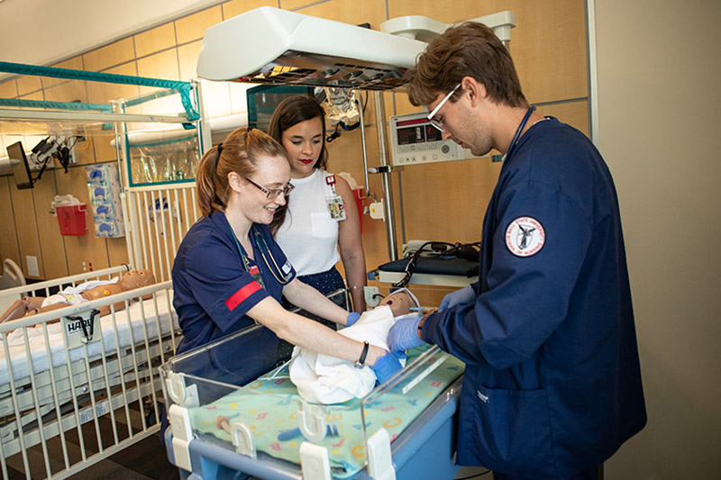 Academic Programs - Department of Nursing | Ball State University