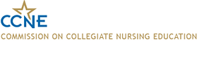 Online RN to BSN Bachelor's Degree in Nursing | Ball State University