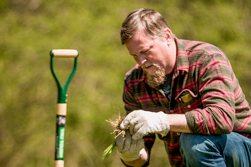 Sustainability at Ball State University