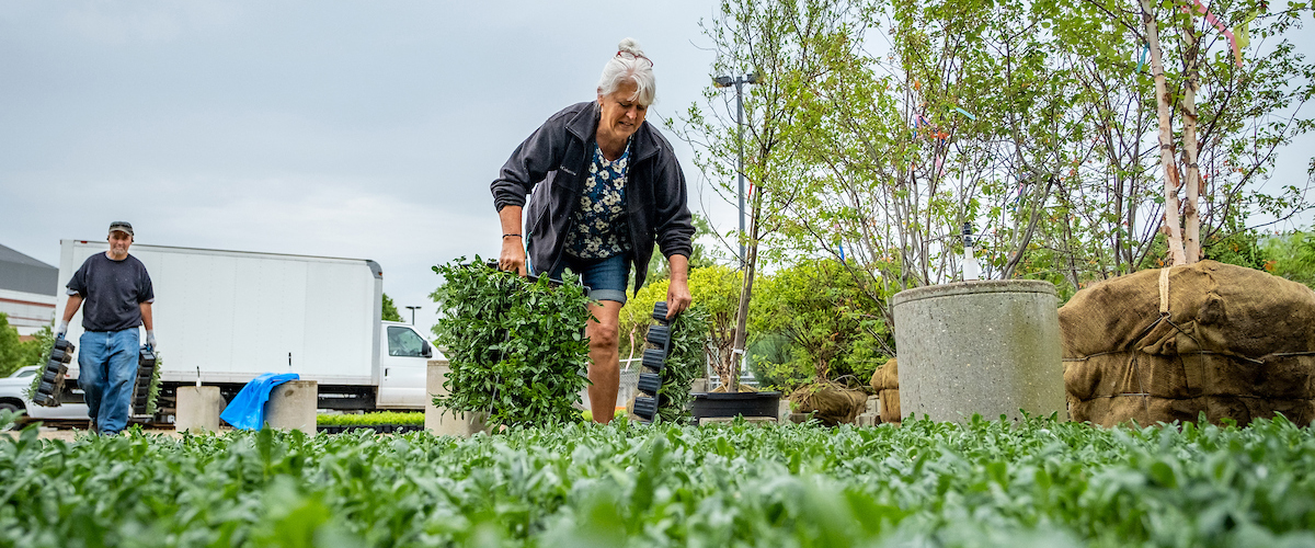 How Does Ball State Contribute to Sustainability? | Ball State University